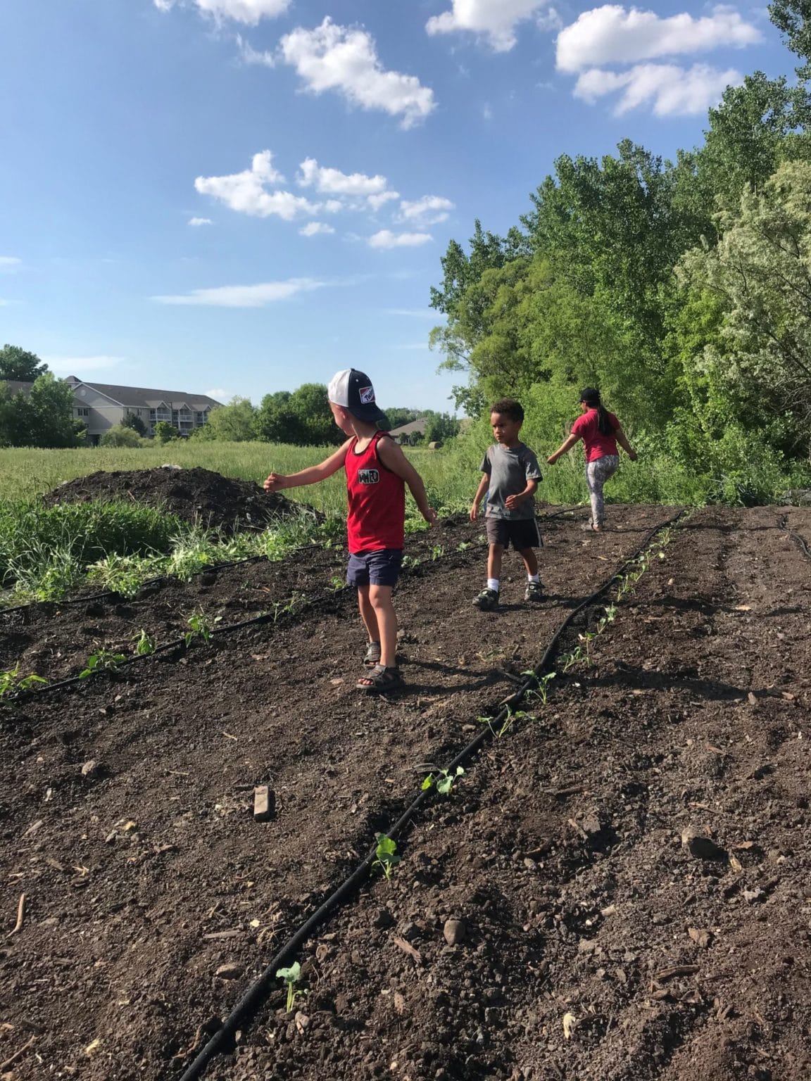 Willmar Lakes Area Community Shared Garden - VISION 2040